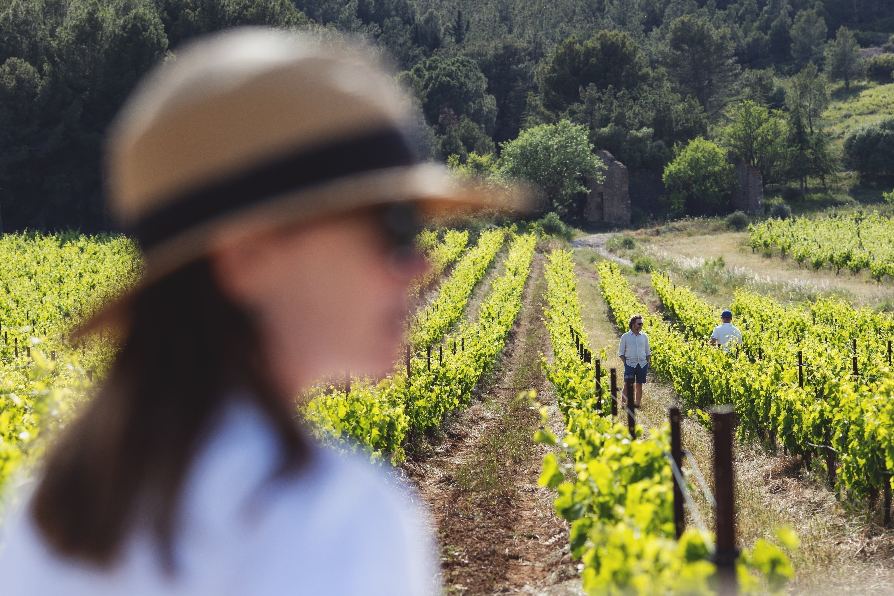 Sulfites in Wine Explained: What They Are and How Much Is Normal ...